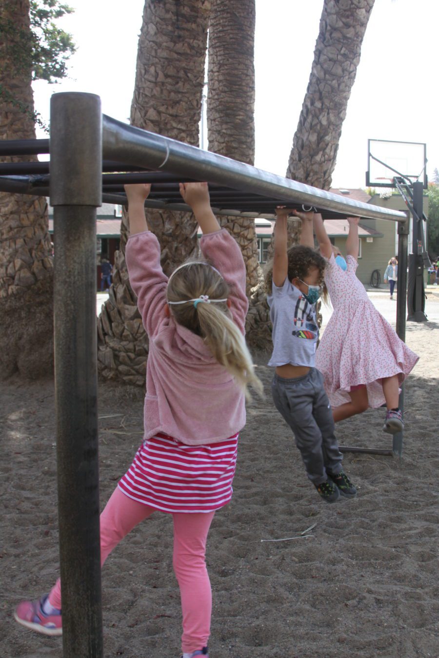 Playground Playdate - Park Day School